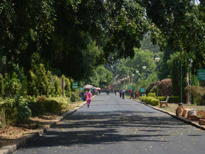 Lalbagh set to bloom through the year | Bengaluru News - Times of India