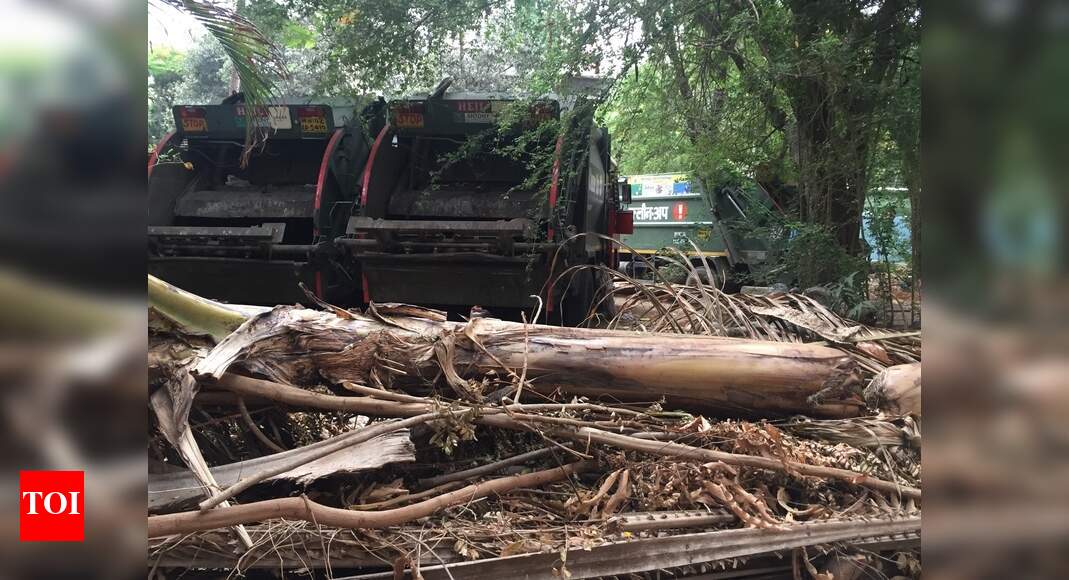 Garbage dumpster - Times of India