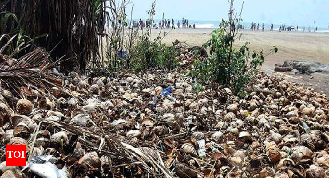 World says no plastic in sea, Goa ignores waste on beach | Goa News ...