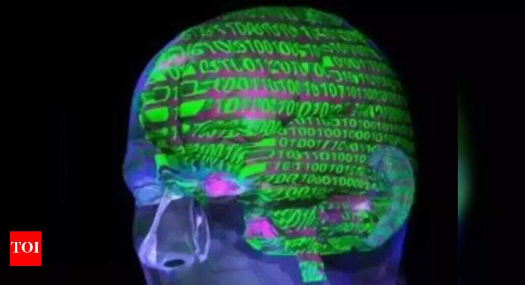 Internet may alter brain functions: Study - Times of India