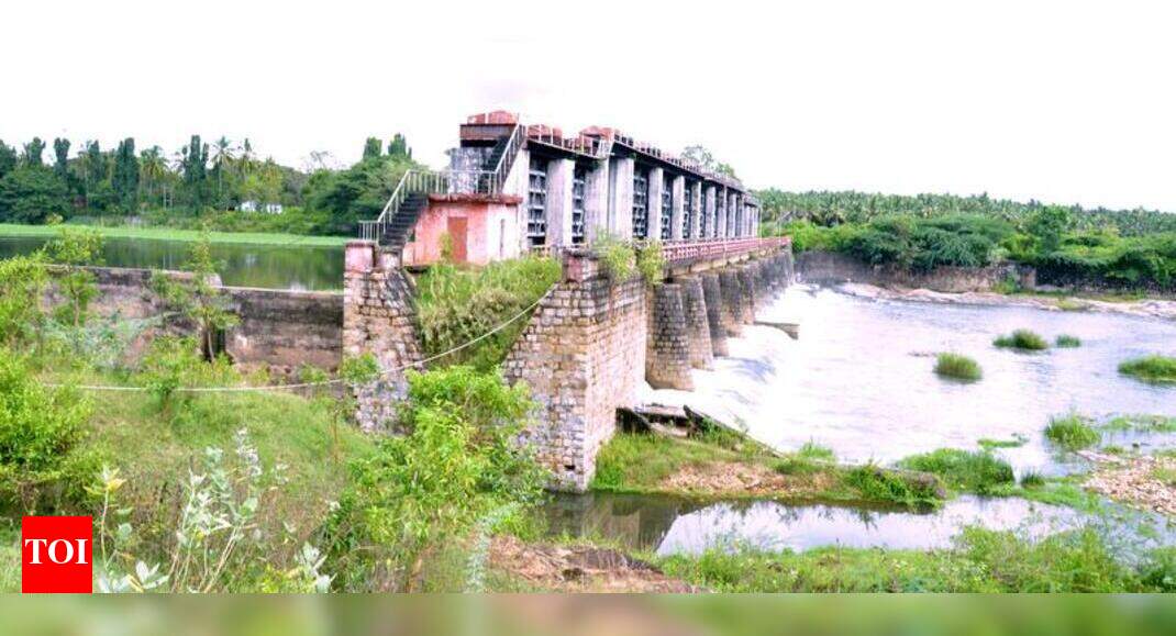 Release of water: Farmers of Chittur heave a sigh of relief | Kochi ...