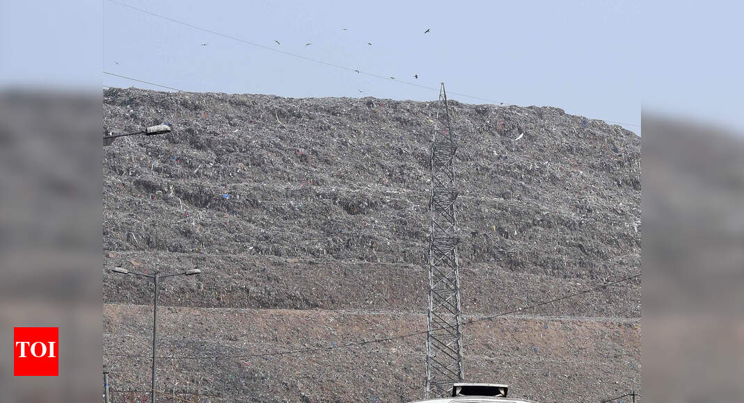 Delhi: Online petition to clean up mountain of mess | Delhi News ...