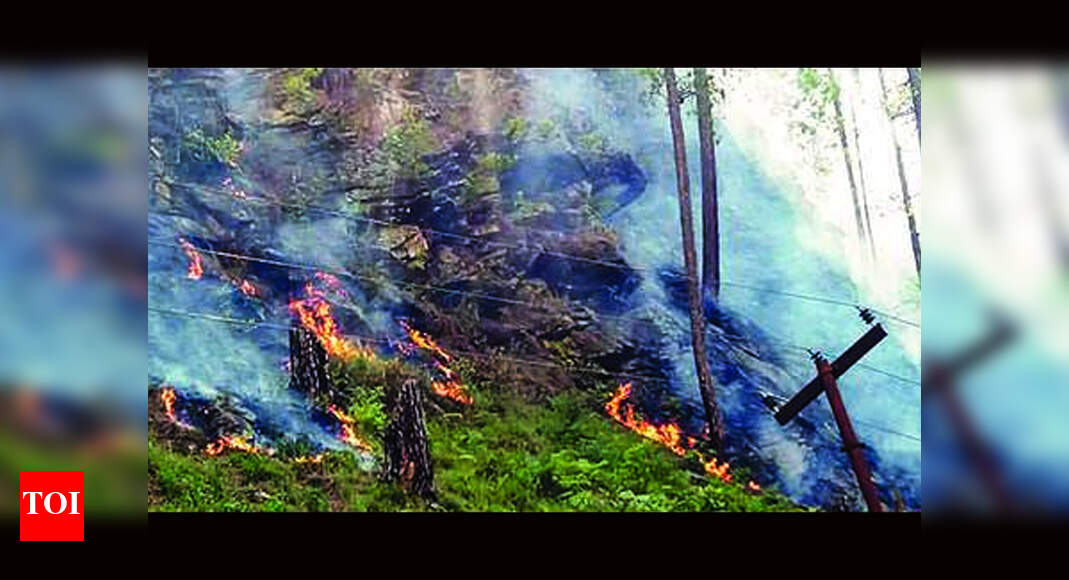 Soaring mercury triggers forest fires in Uttarkashi | Dehradun News ...