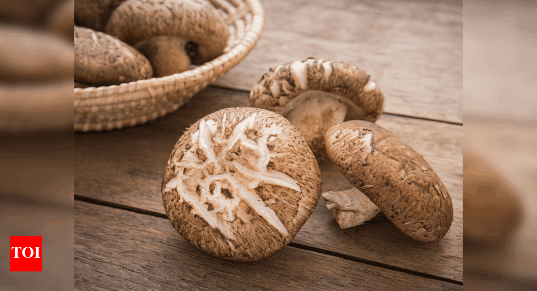 How mushrooms help in Tuberculosis - Times of India