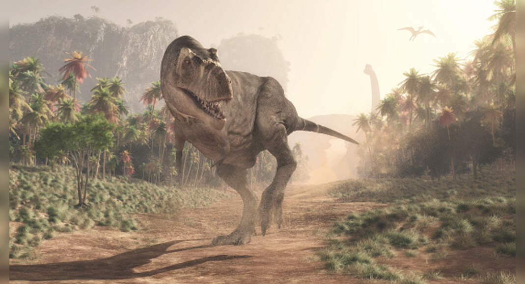 India gets its first dinosaur museum and fossil park in Gujarat ...