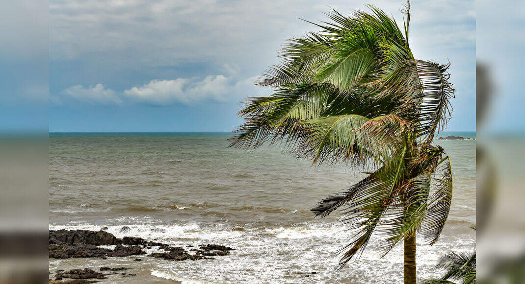 Gujarat on high alert as Cyclone Vayu is likely to make landfall ...