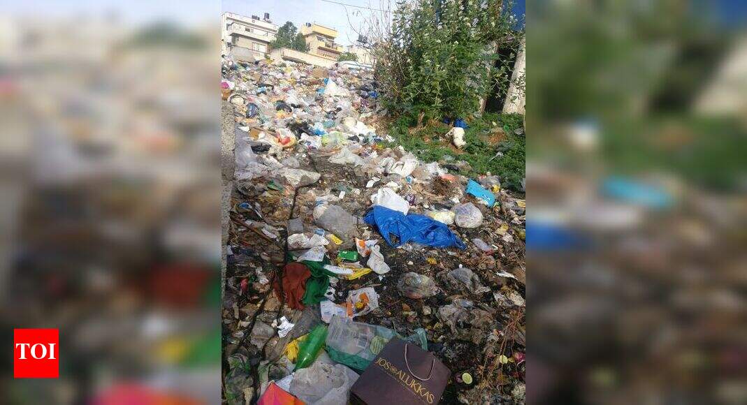 Ineffective garbage collection and garbage dump - Times of India