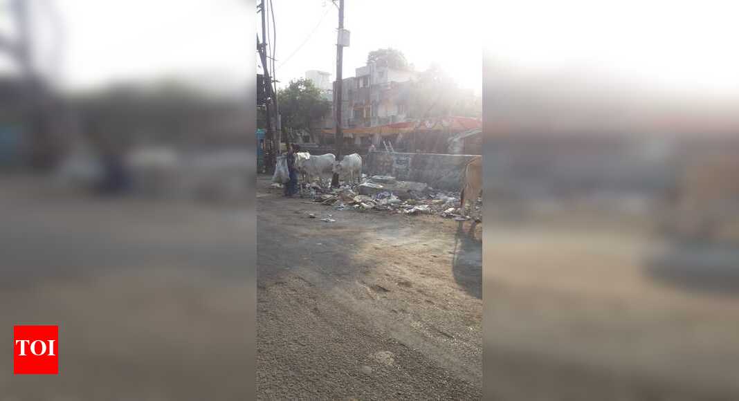 Unhygienic area - Times of India