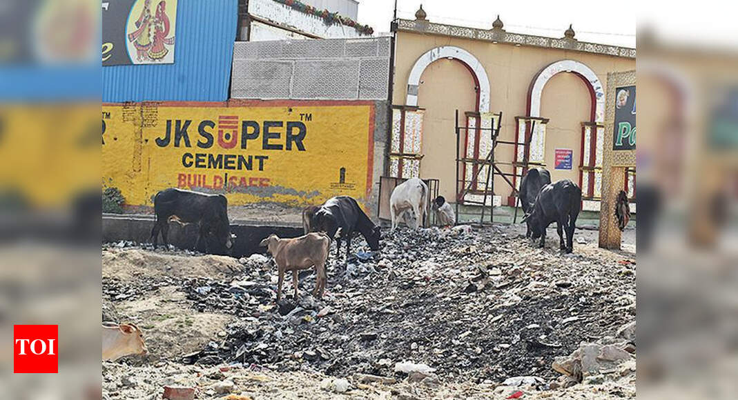 Panel: Unsegregated hospital waste leads to 40% recurrent infections ...