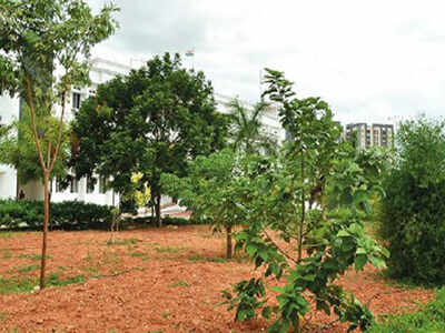 Walking tracks planned at DPO’s Silambu Solai park | Madurai News ...