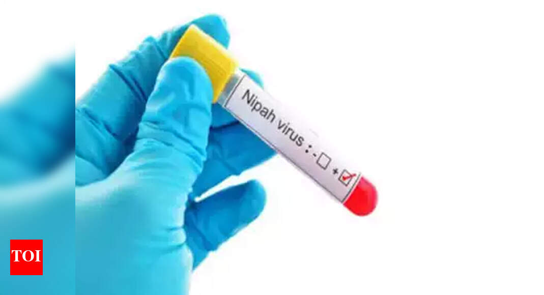 Nipah test results likely today | Puducherry News - Times of India