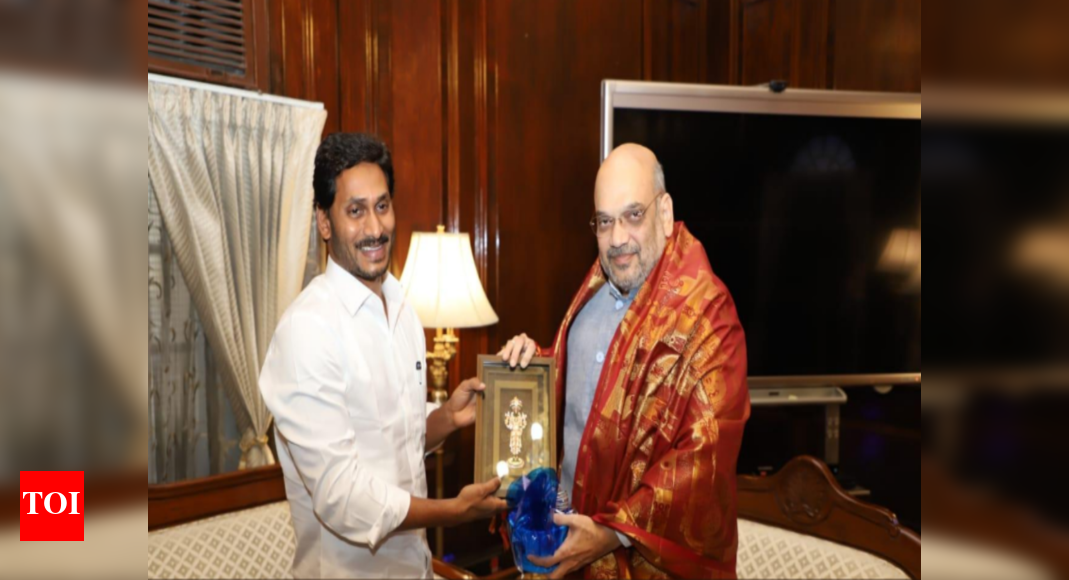 Andhra Pradesh CM Y S Jaganmohan Reddy requests Amit Shah to 'soften PM's heart' on special ...