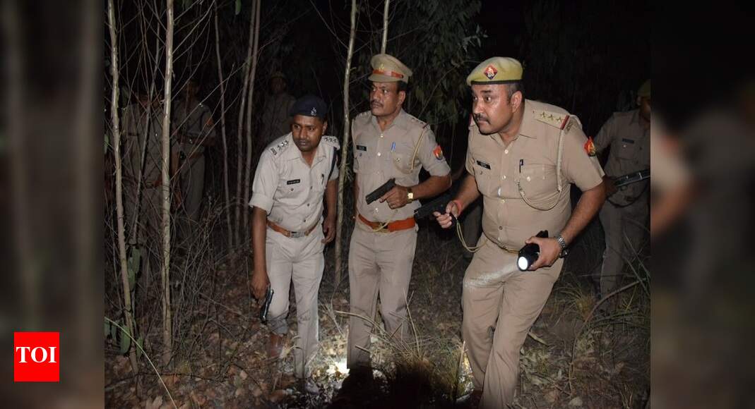 Bareilly: Dreaded criminal and constable injured in police encounter | Bareilly News - Times of ...