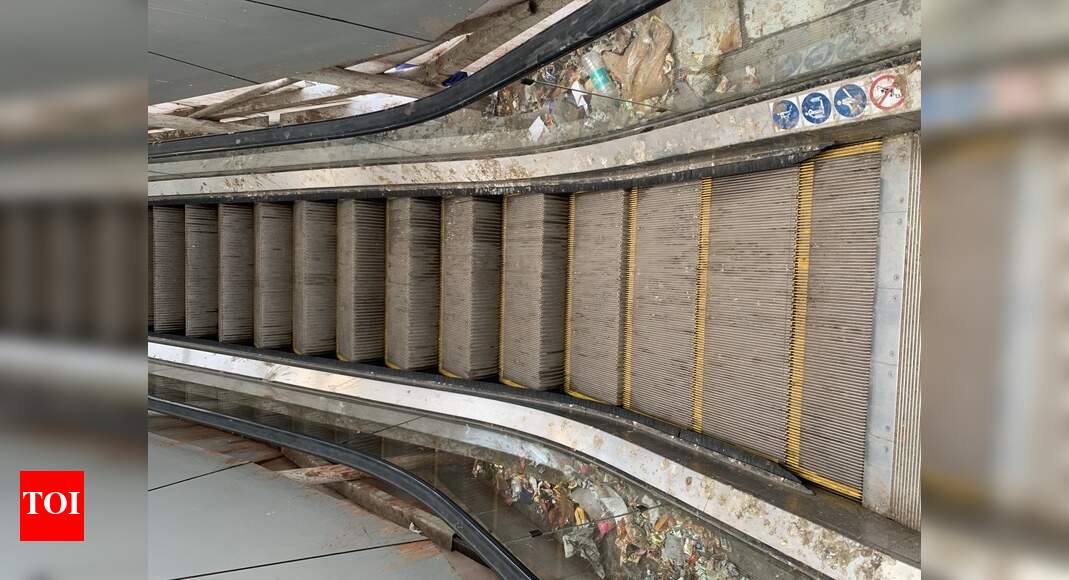 A dirty ladder - Times of India