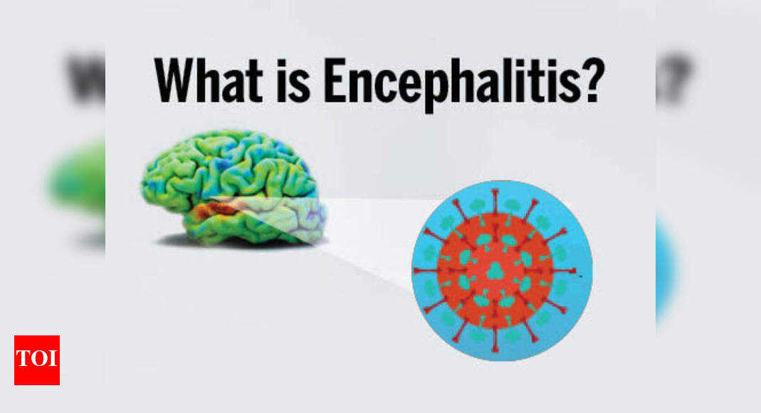 Infographic: Encephalitis: All you want to know | India News - Times of ...