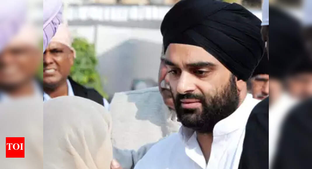 Real estate fraud case: Monty Chadha granted bail | Delhi News - Times ...
