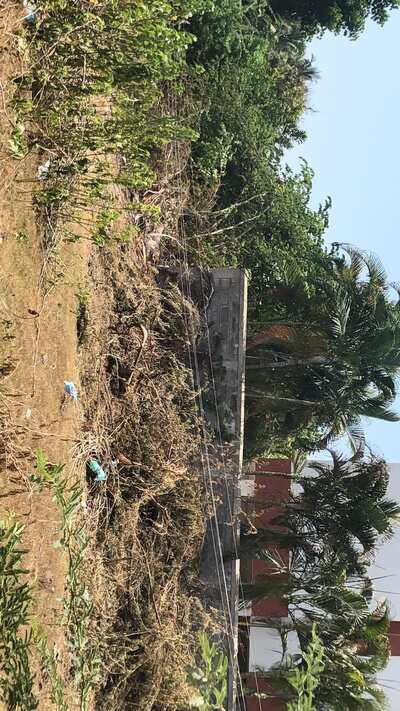 EB wire posses grave danger - Times of India