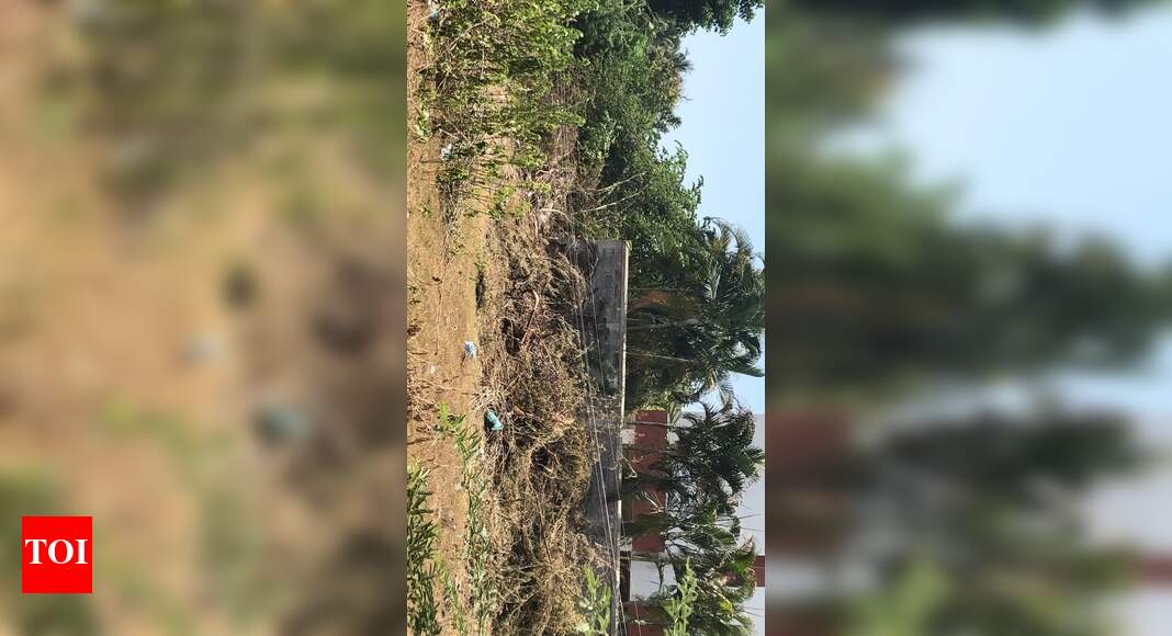 EB wire posses grave danger - Times of India