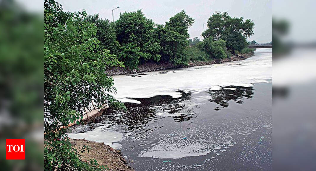 ‘Hindon polluted, 40% living near it infected’ | Noida News - Times of India