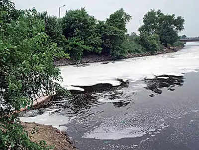 ‘Hindon polluted, 40% living near it infected’ | Noida News - Times of ...