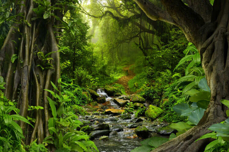 Goa in monsoon | Times of India Travel