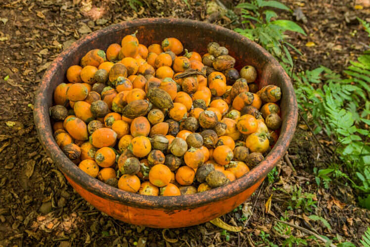 7 pictures that tell you about the experiences most tourists miss ...