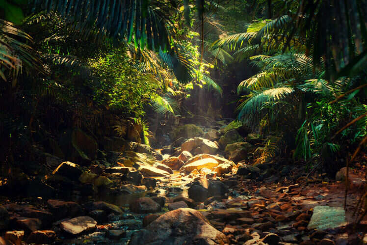 7 pictures that tell you about the experiences most tourists miss ...