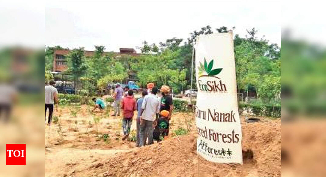 Eco Sikh plants 550 trees of 15 native varieties | Chandigarh News ...