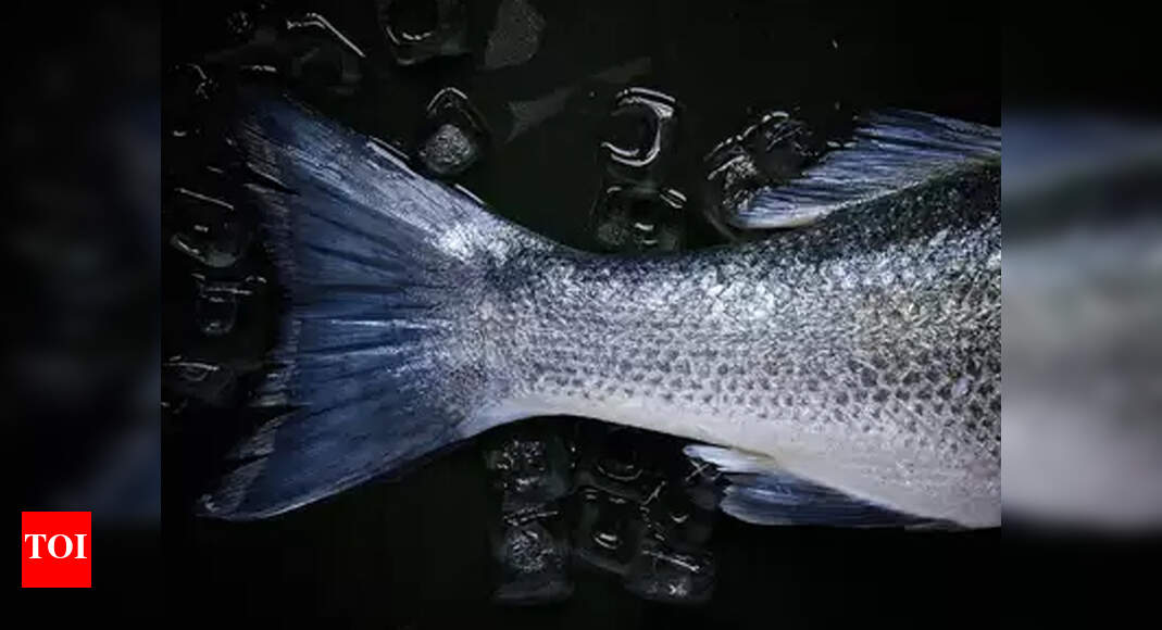 Vishwajit Rane allays fears, says fish is safe to eat | Goa News ...