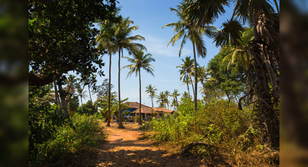 This Goa village is visible only for a month every year | TimesTravel