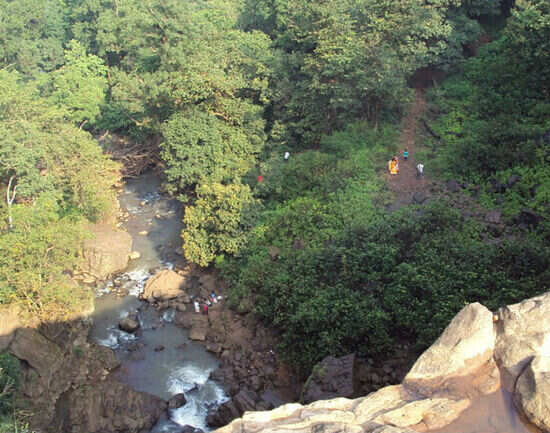 An oasis amid a beautiful, forested landscape - Kapildhara Waterfall in ...