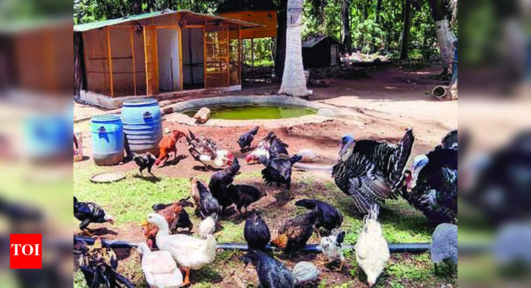 Eat healthy. Farming goes organic in Coimbatore | Coimbatore News ...