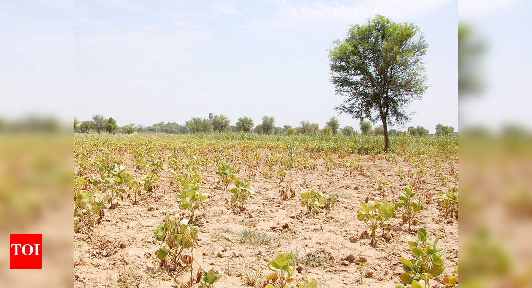 Government changes rules for return of seized land | Ahmedabad News ...