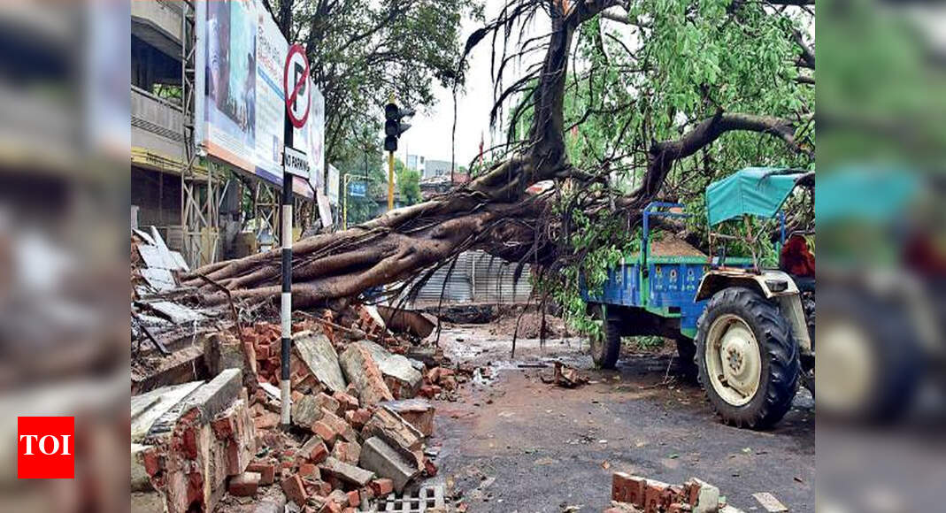 Ahmedabad: Sunday squall exposes all | Ahmedabad News - Times of India