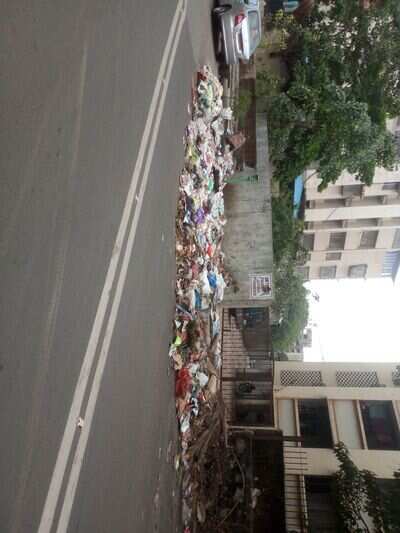 Garbage dumped on road - Times of India