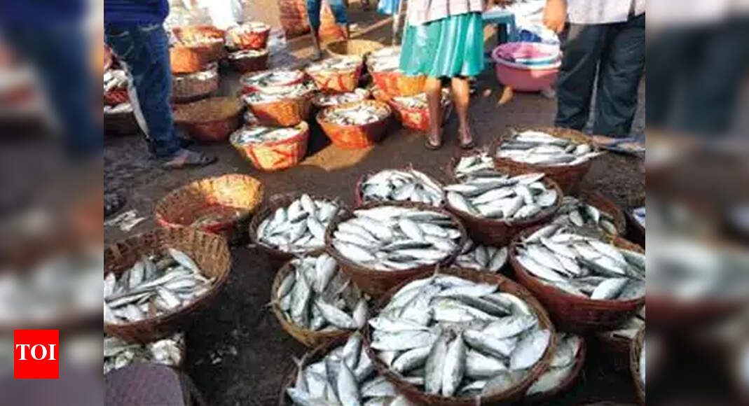 Ban prompts sellers to rely on local fish varieties, frozen stock | Goa ...