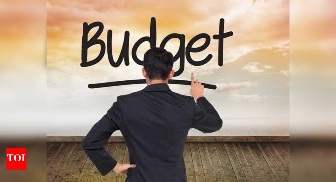 Union Budget 2019: Key terms explained - Times of India