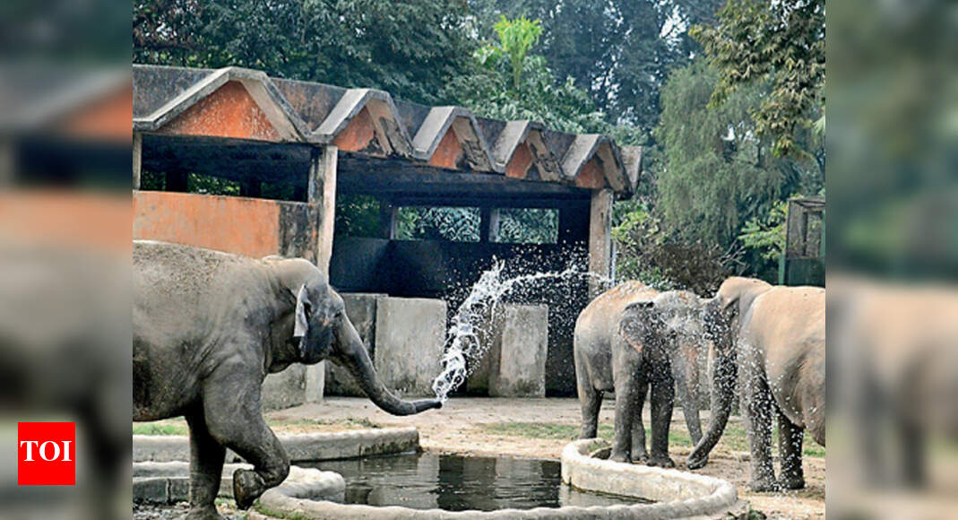 In hi-technology move, zoo to get augmented reality park | Kolkata News ...