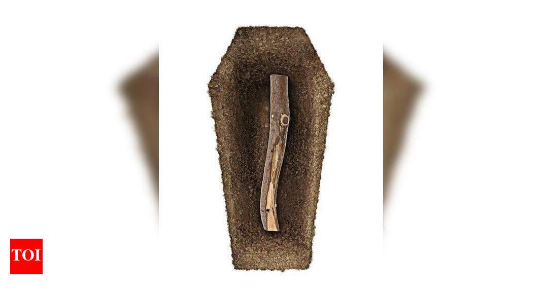 Trees being felled, but little or no compensatory plantation | Nagpur ...