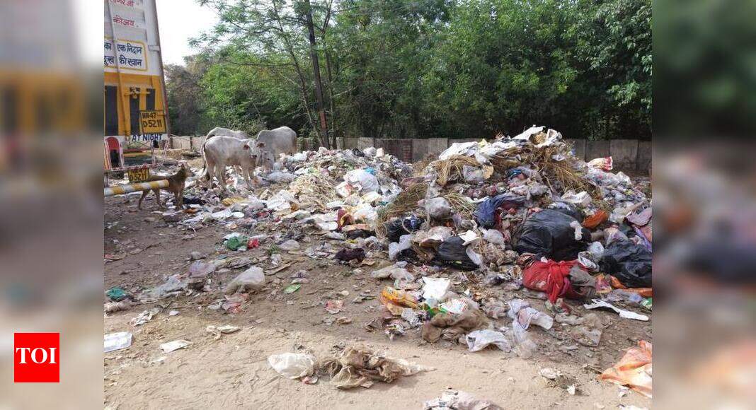 Collection erratic, trash piles up in DLF-1, residents fume | Gurgaon ...