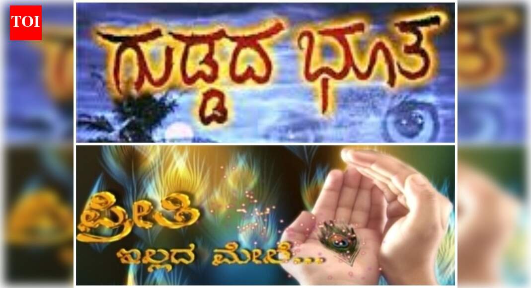 From Guddada Bhoota to Preeti Illada Mele: Best Kannada TV shows of all ...