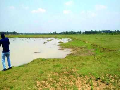 Eco-group and residents rejuvenate 130-acre lake - Times of India