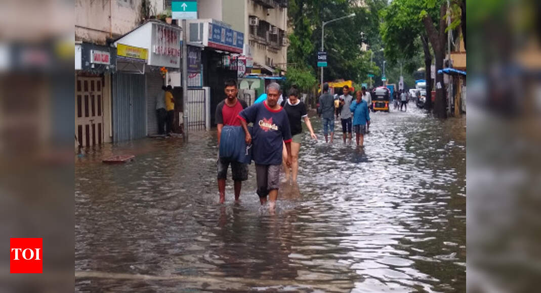 Mumbai: Waded in floodwaters? Take a lepto preventive | Mumbai News - Times of India