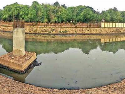Tamil filmmaker to document Cooum river | Chennai News - Times of India