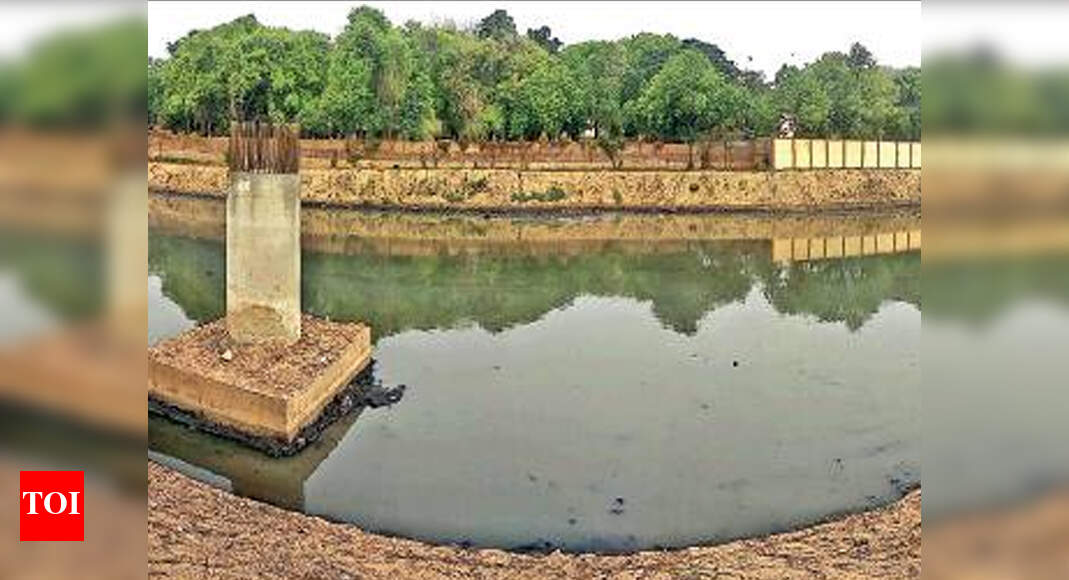 Tamil filmmaker to document Cooum river | Chennai News - Times of India