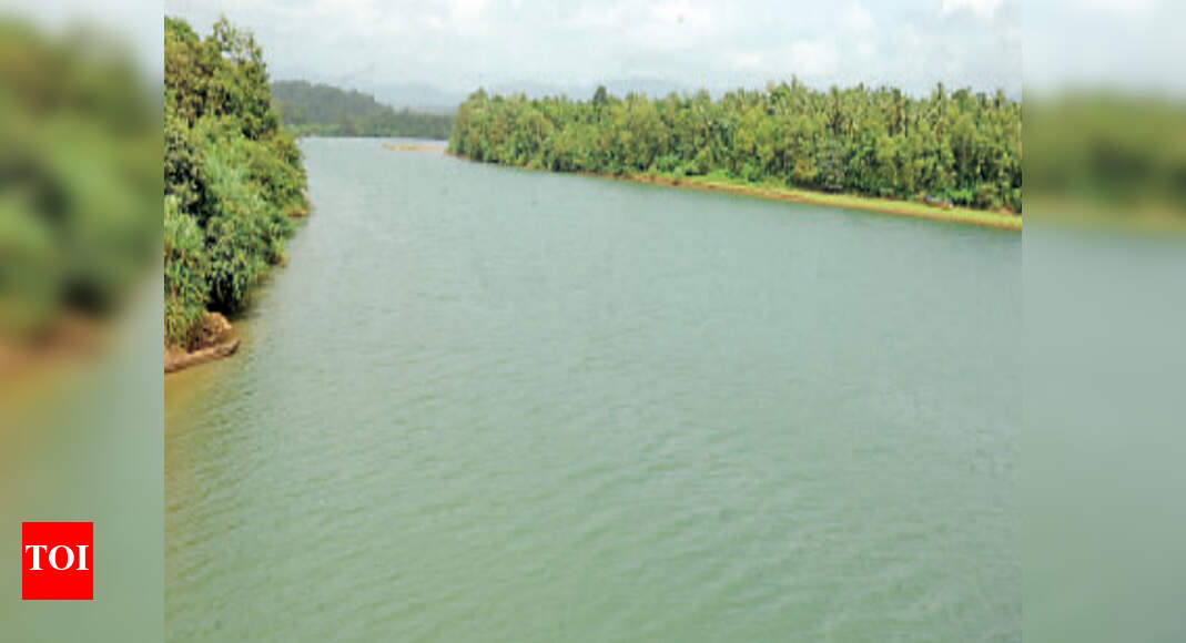 Task force: Scrap Sharavati water plan for Bengaluru | Bengaluru News ...