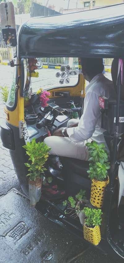 Green Rickshaw - Times of India