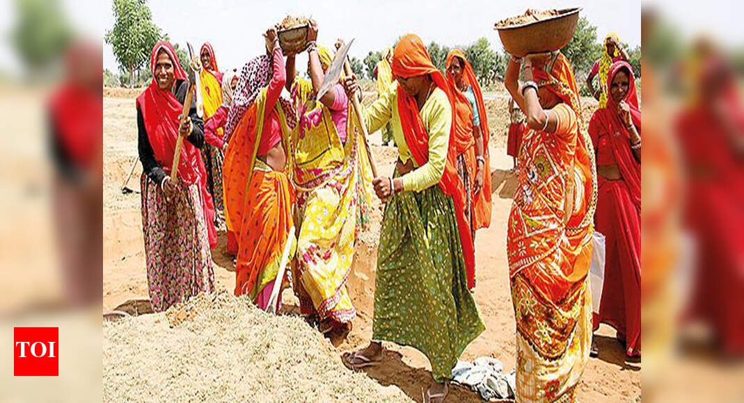 Panel to probe all NREGA works in Rajasthan village after financial ...