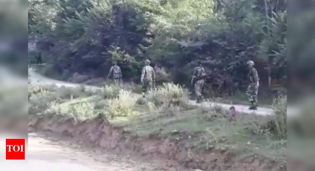 Encounter breaks out between security forces, terrorists in J&K's Shopian | India News - Times ...