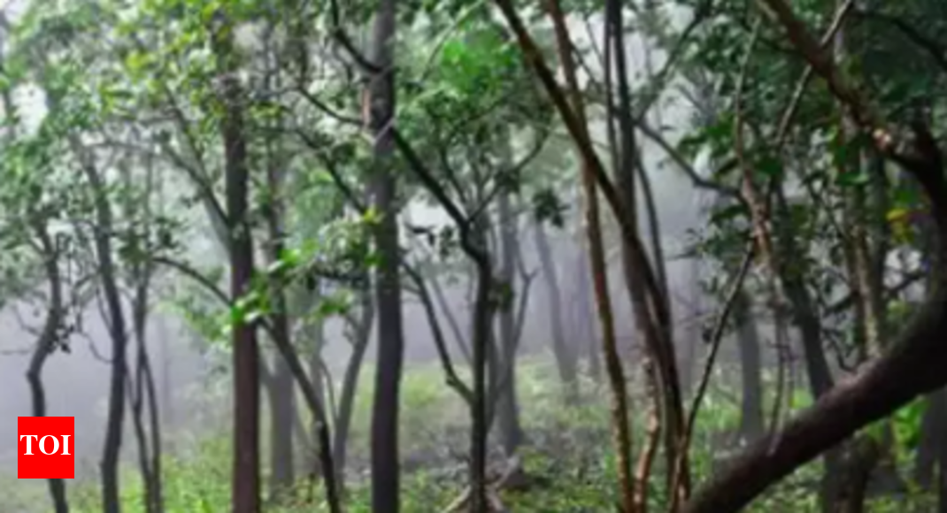 Tamil Nadu to spend Rs 50 crore for geo-referencing of forests ...